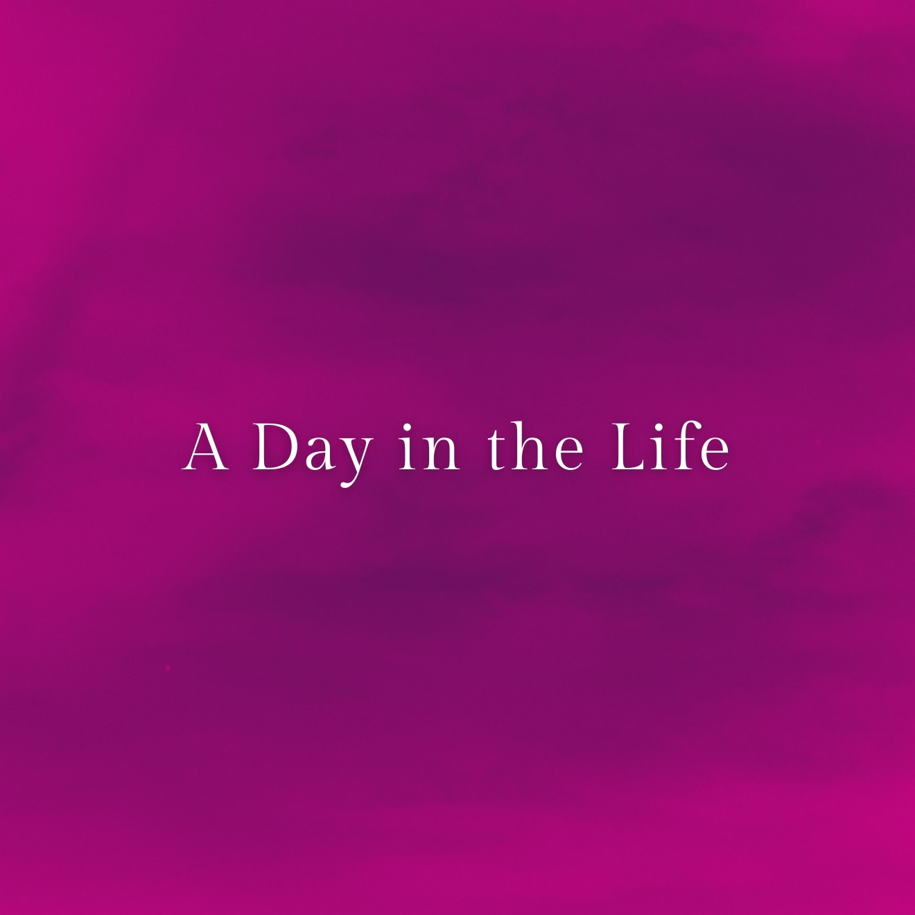 A Day in the Life of a Housing Options Officer