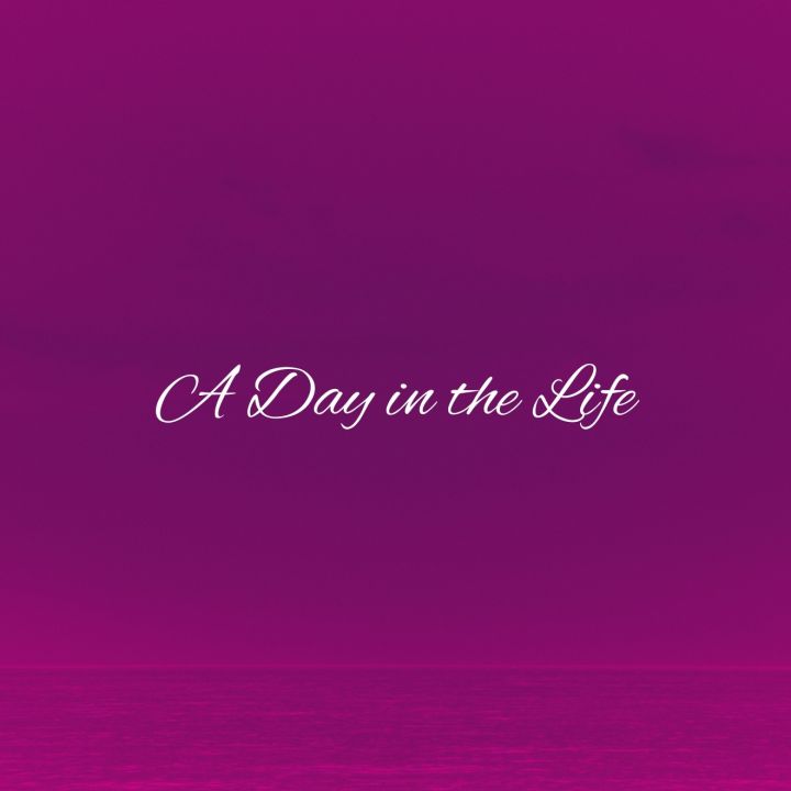 A Day in the Life of a Police Officer